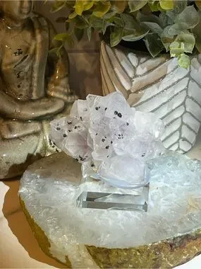 Accents | Gorgeous Amethyst Flower Cluster With Goethite And Epidote ...